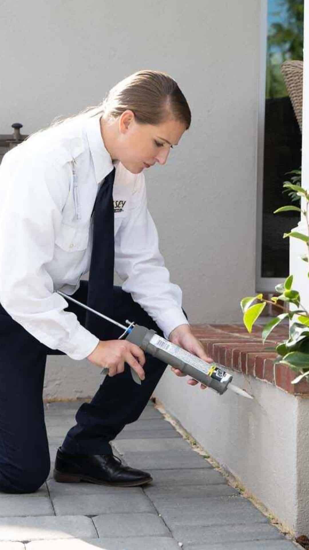 Pest Control - Protect your Home with Massey’s Award-Winning Pest ...