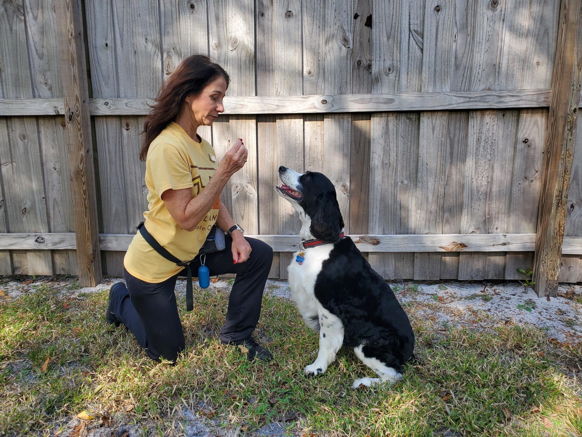 December Team Member Spotlight: Shannon Duffy and Her Heart for Helping ...